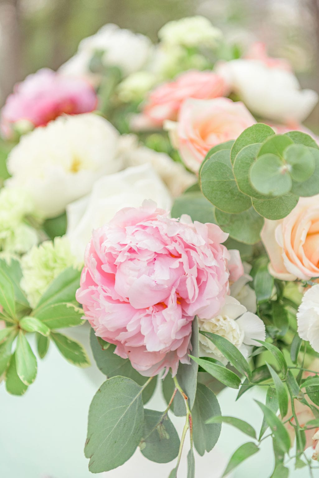 The Calming Breeze of the Countryside | Savvy Leigh Photography