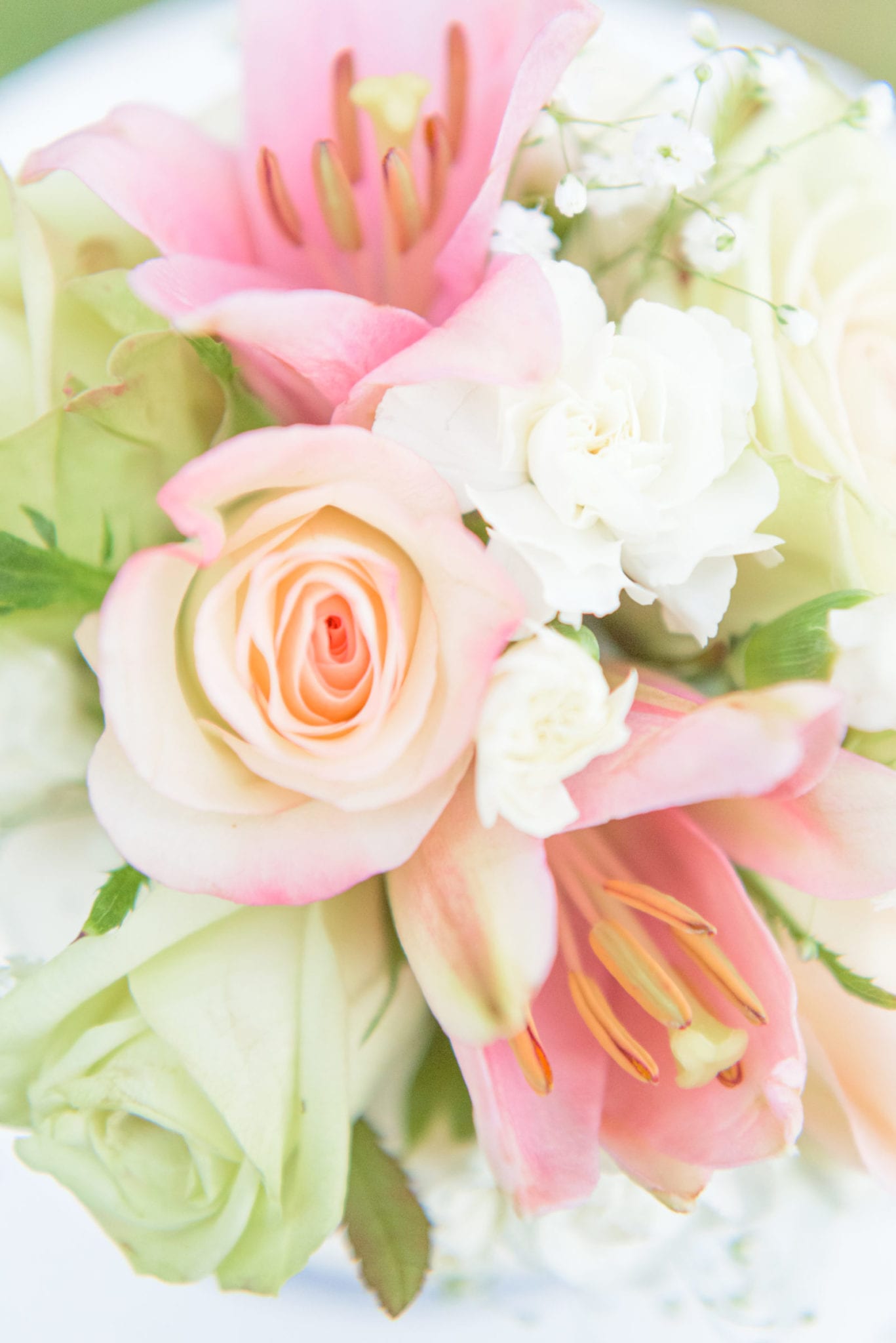 The Calming Breeze of the Countryside | Savvy Leigh Photography