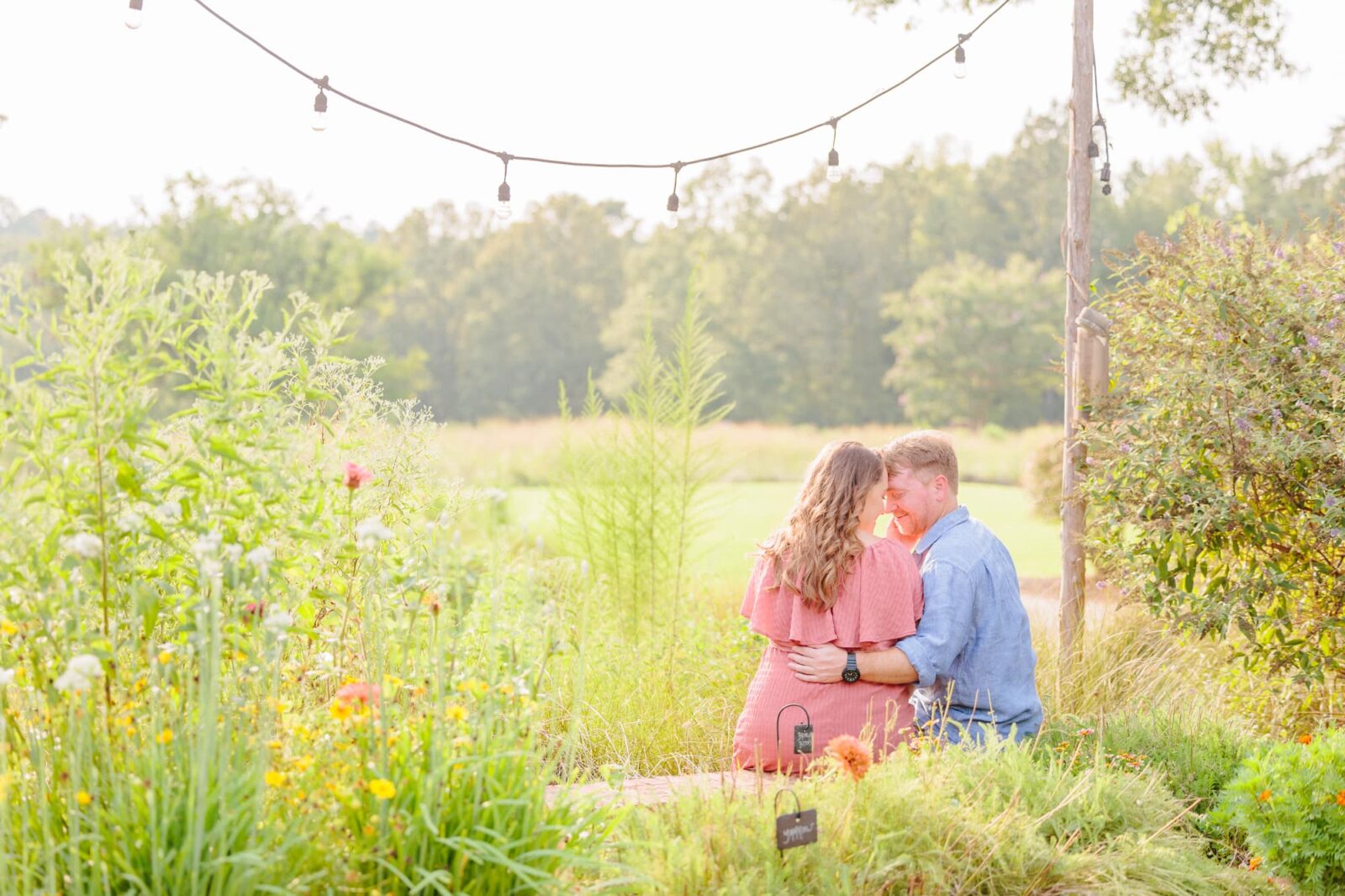 Summer Sun at North Corner Haven | Savvy Leigh Photography